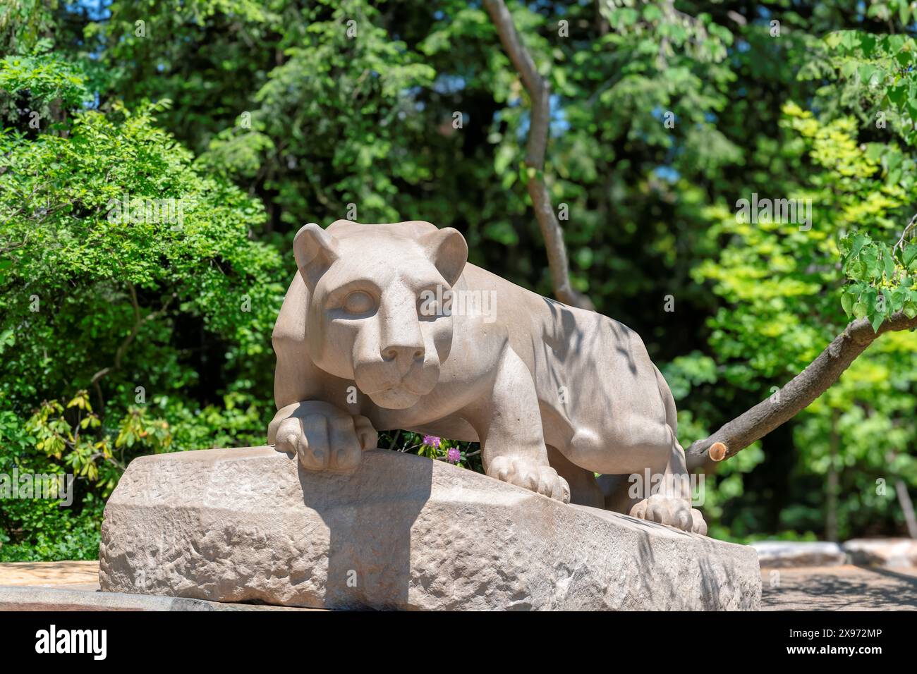 Nittany Lion sculpture in the campus of Penn State University Stock ...