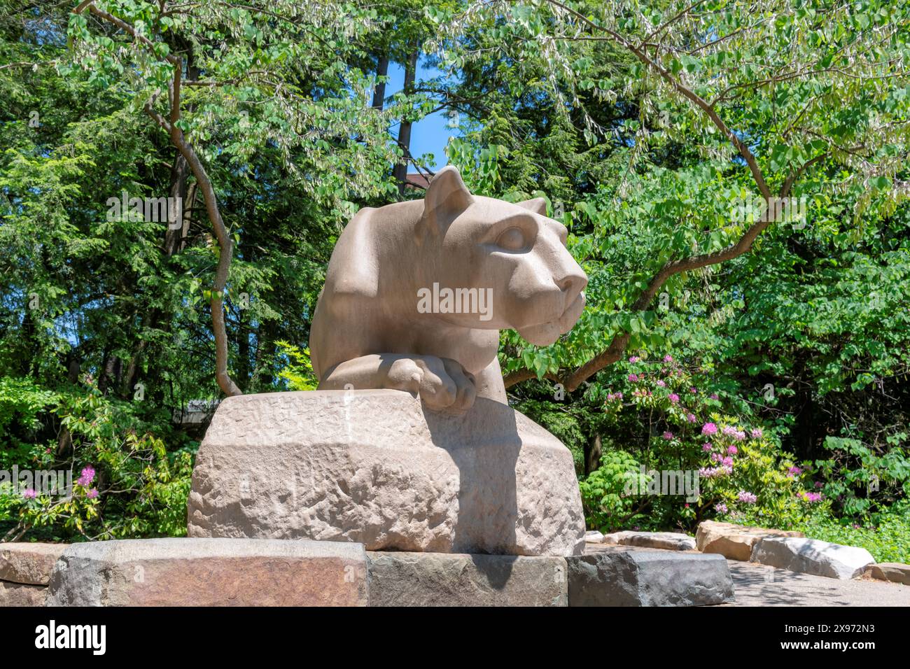 Nittany Lion sculpture in the campus of Penn State University Stock ...