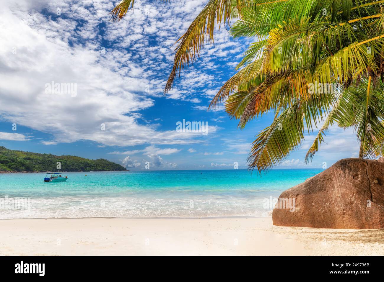 Beautiful beach resort palm hi-res stock photography and images - Alamy