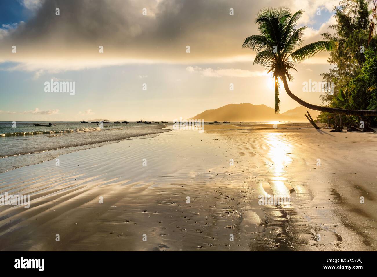 Tropical beach in raining time with coco palms and tropical sea at ...