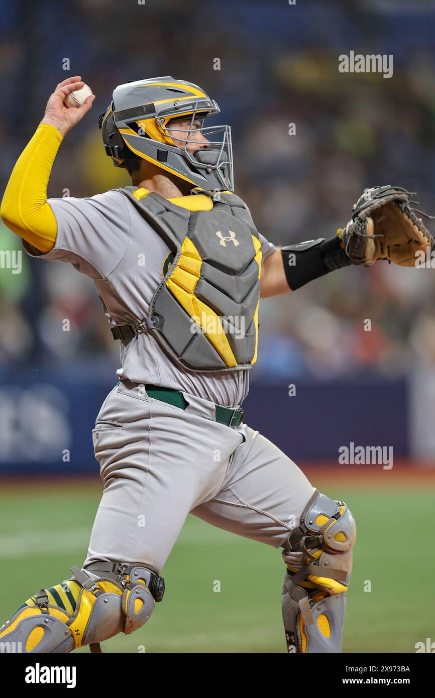 St. Petersburg, FL: Oakland Athletics catcher Shea Langeliers (23 ...