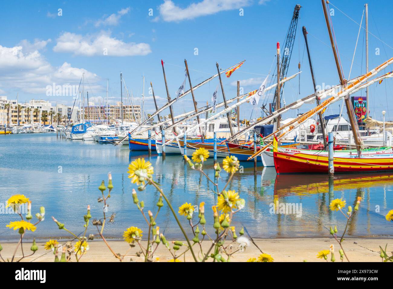 Le Barcarès, France - May 22, 2024: Fishing boats and marina port ...