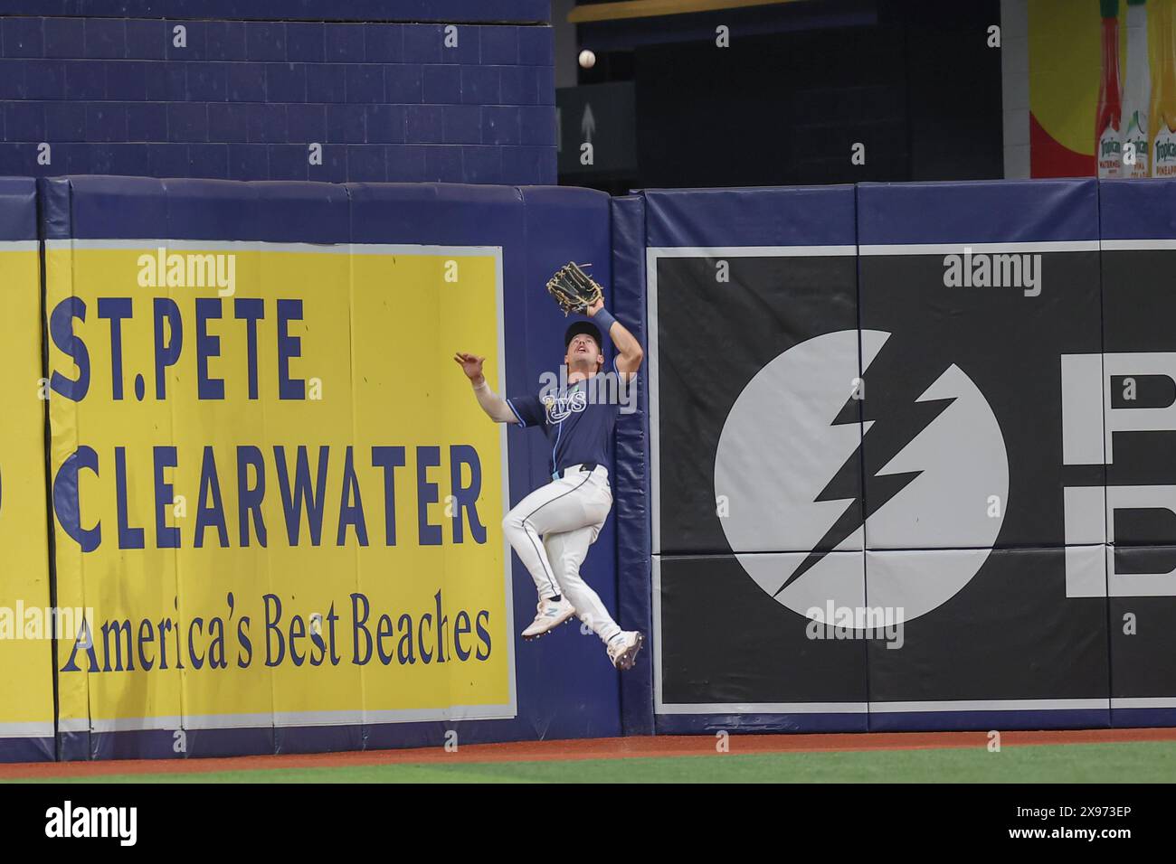 St. Petersburg, FL: Tampa Bay Rays outfielder Jonny DeLuca (21) leaps ...