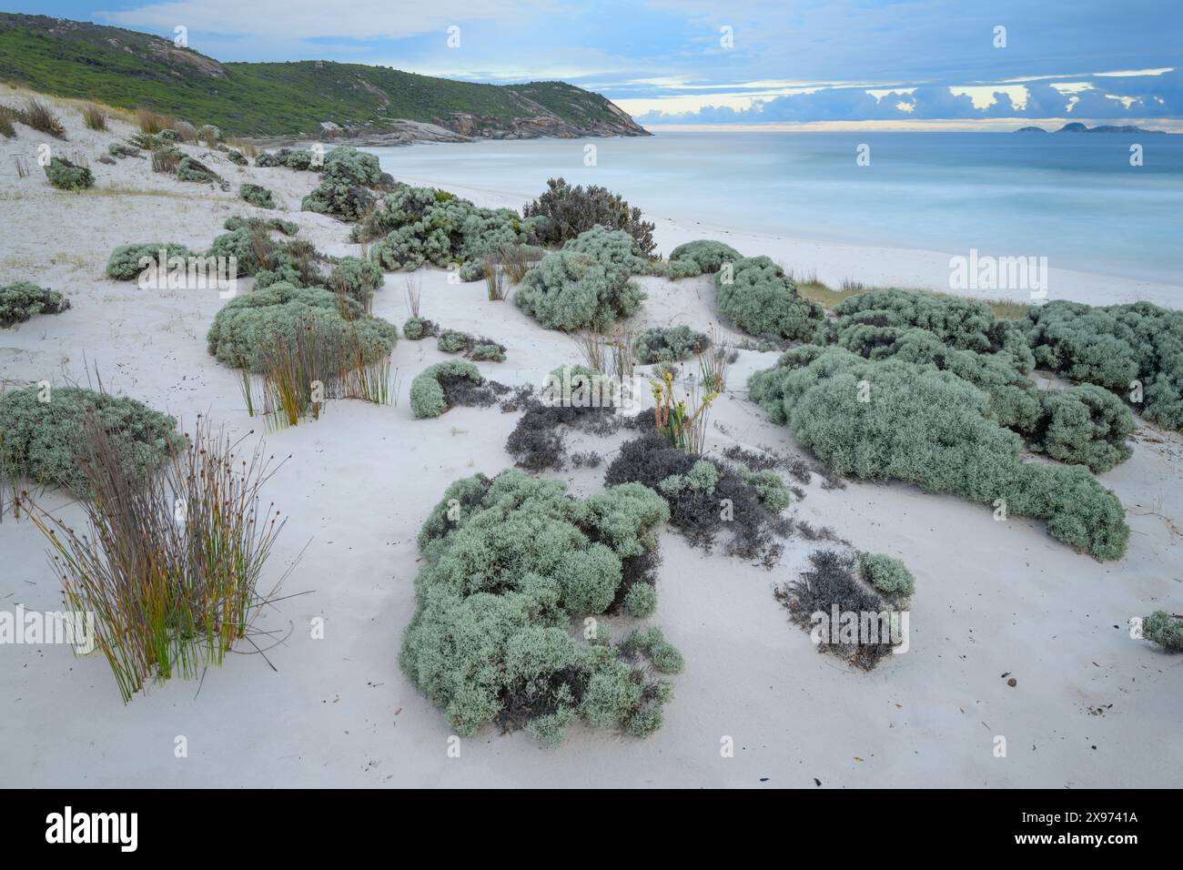 Australia, Victoria, Foster, Wilsons Promontory, National Park,Squeaky ...