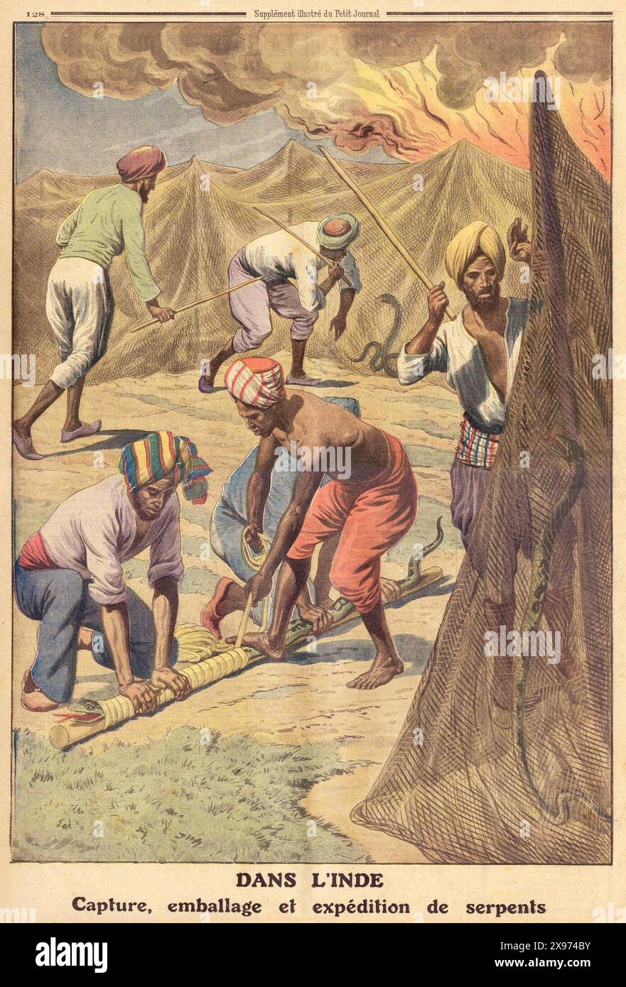 Translation : " IN INDIA Trapping, packing and shipping snakes " DANS L ...
