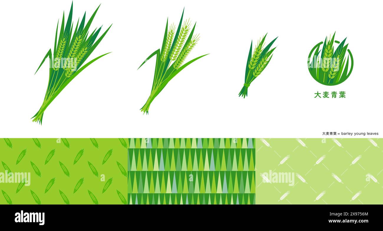 Barley green leaves illustration and icon and pattern set Stock Vector ...