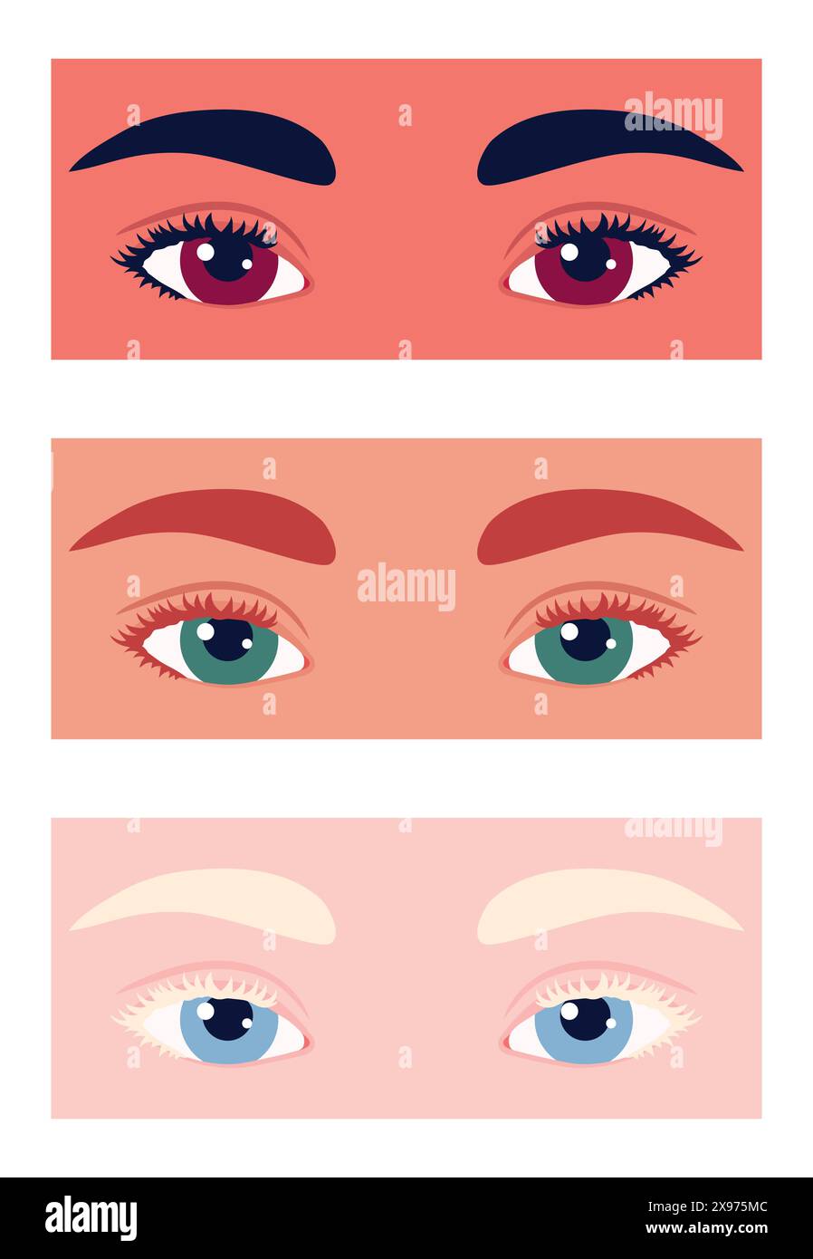 Set of different eyes and eyebrows colors. Retina of different colors ...