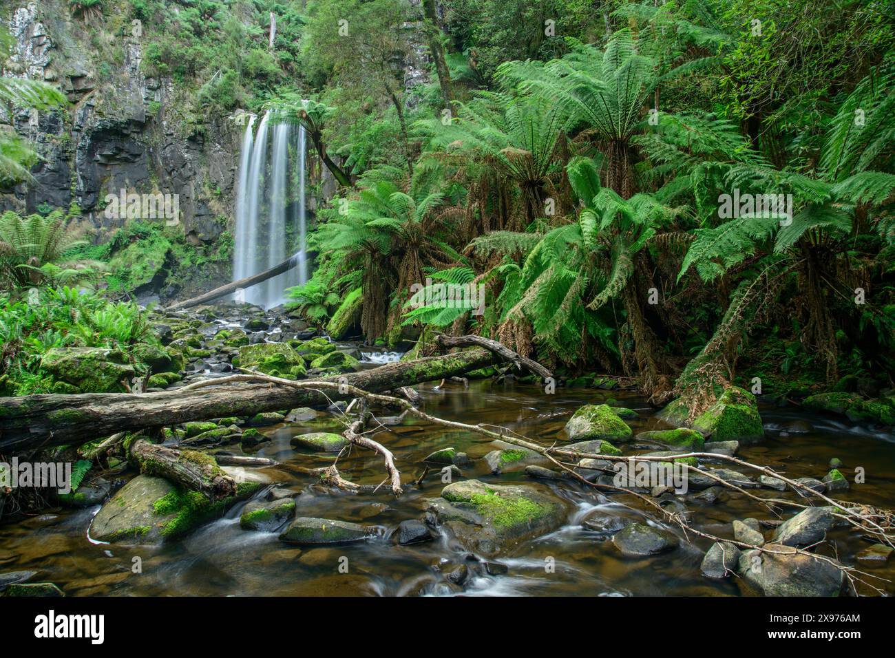 Australia; Victoria; Great Ocean Road, Apollo, Otway National Park ...