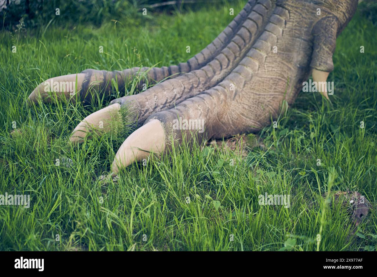 A realistic Tyrannosaurus rex paw in a Jurassic amusement park with ...