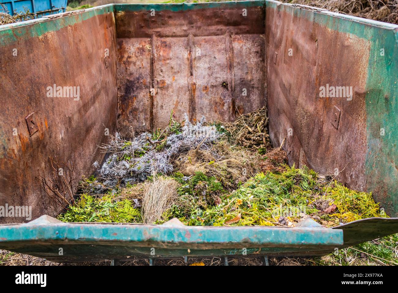 Large container with green waste in public park, recycling or plants ...