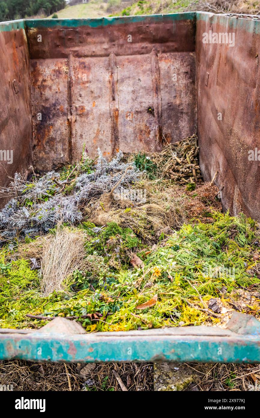 Large container with green waste in public park, recycling or plants ...