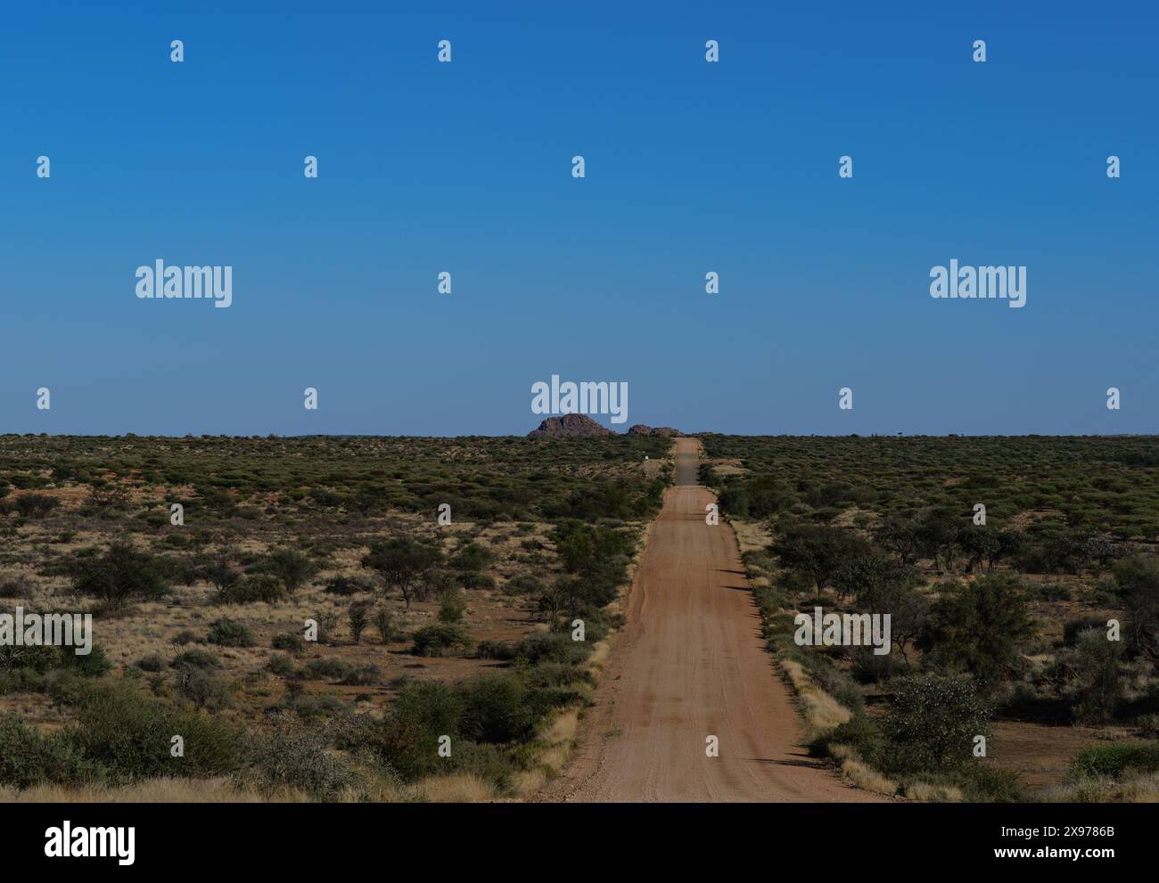 Landscape of the Namib desert, the oldest desert in the world, Namibia , Africa Stock Photo - Alamy