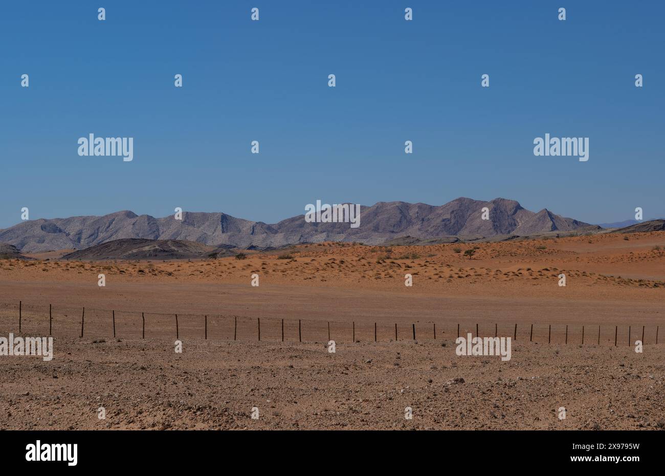 Landscape of the Namib desert, the oldest desert in the world, Namibia , Africa Stock Photo - Alamy