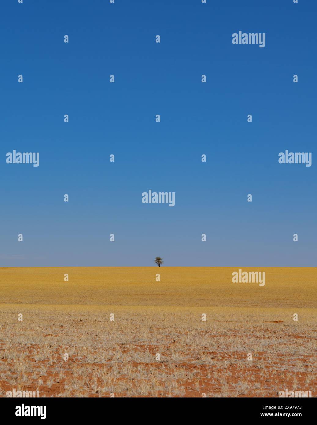 Landscape of the Namib desert, the oldest desert in the world, Namibia , Africa Stock Photo - Alamy