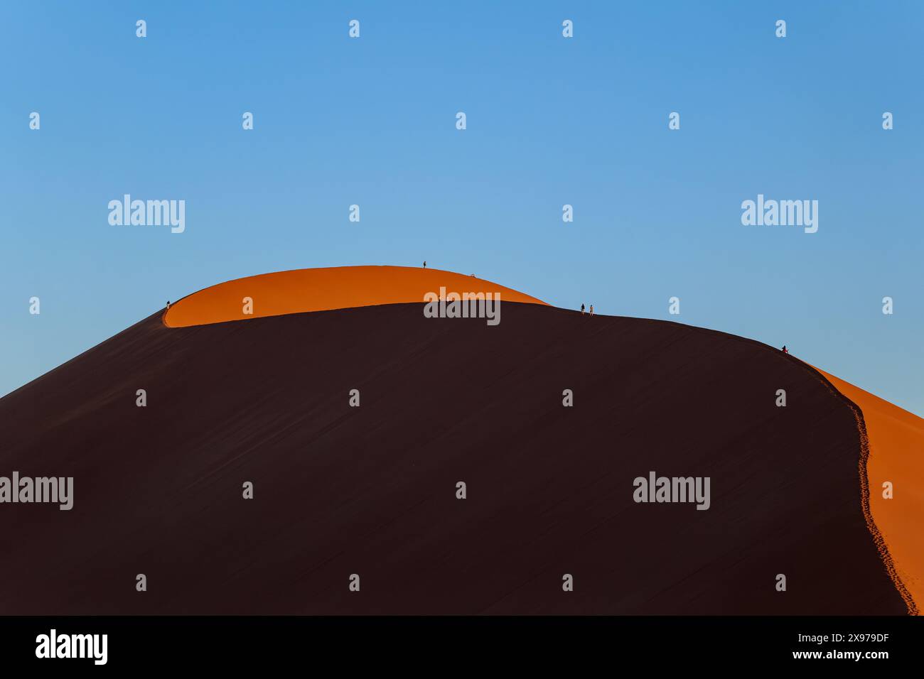 the world's largest sand dunes in Namibia, patterns and lines in sand ...