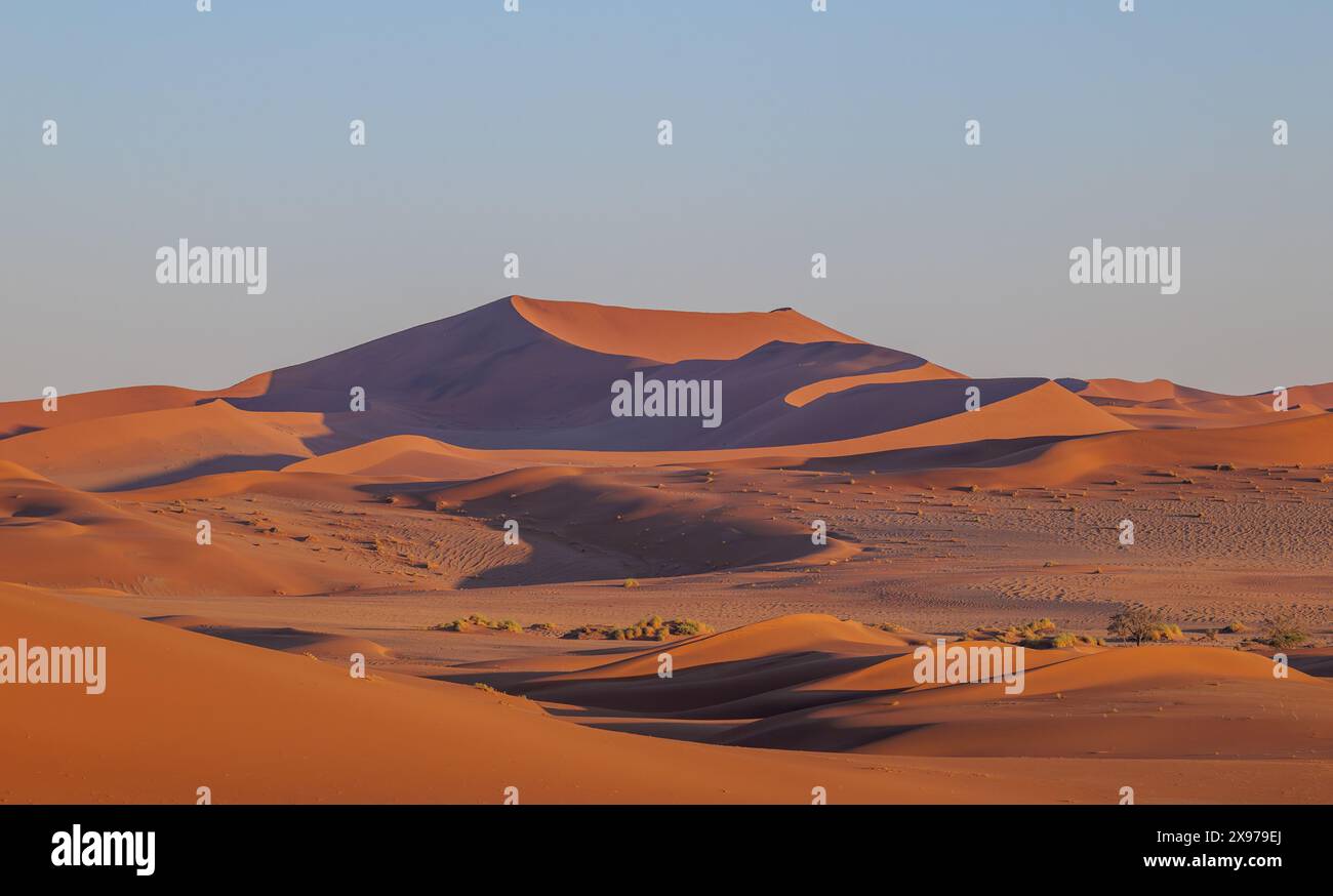 the world's largest sand dunes in Namibia, patterns and lines in sand ...