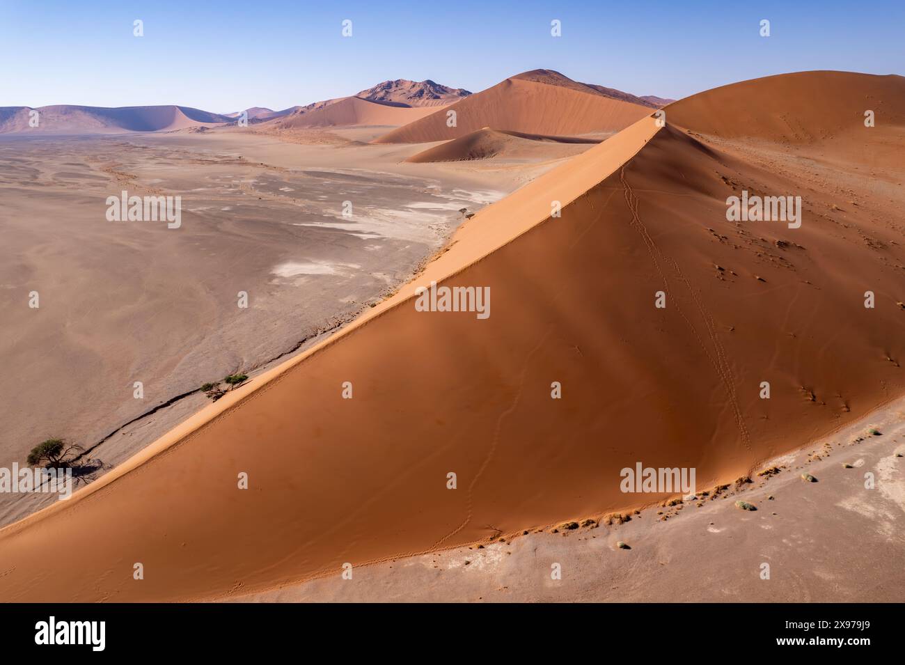 Dune 45 in the Namib Desert seen from above, dronephoto, Namibia, Africa Stock Photo - Alamy