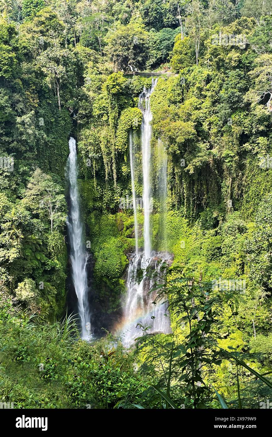 A stunning waterfall cascades through a lush forest, crowned by a ...