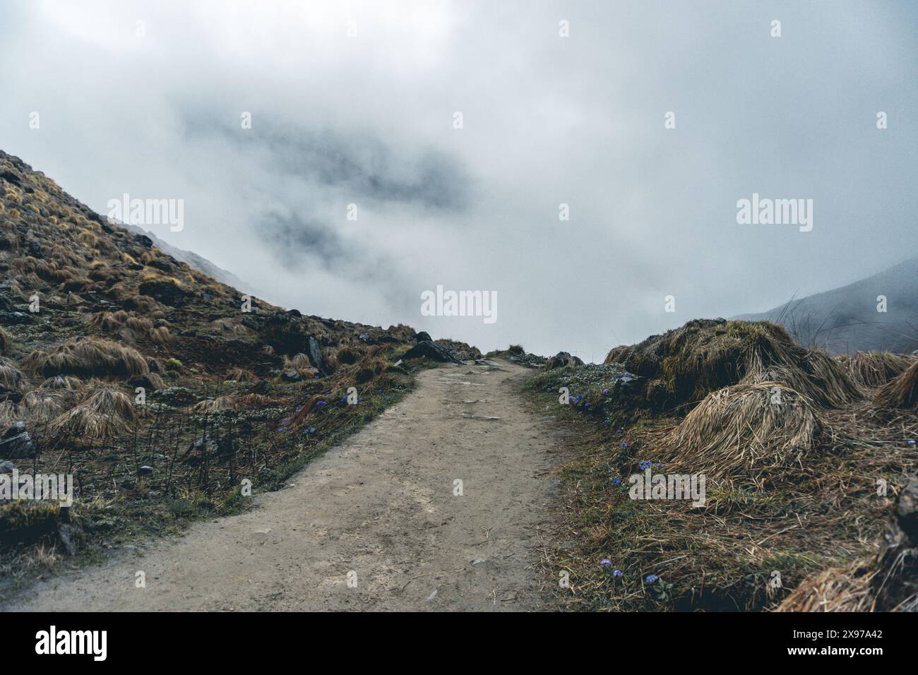 annapurna base camp road, annapurna base camp nepal, beauty of nepal ...