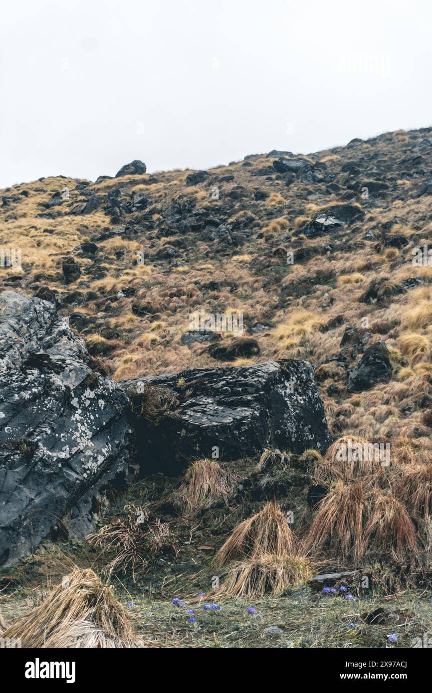 annapurna base camp road, annapurna base camp nepal, beauty of nepal ...