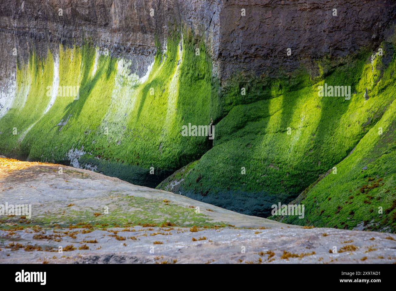 The interesting Devils Punchbowl rock formation is a State Natural Area ...