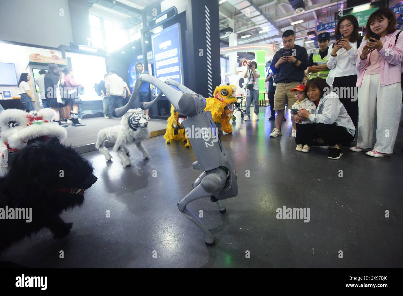 Visitors are watching a robot dog perform a handstand walk at the 20th ...
