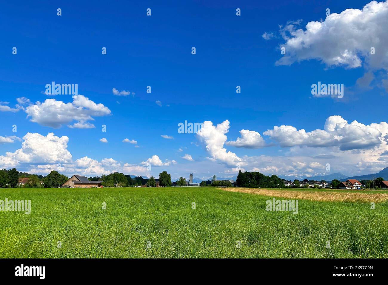 Vast green fields under a bright blue sky with many clouds, idyllic ...