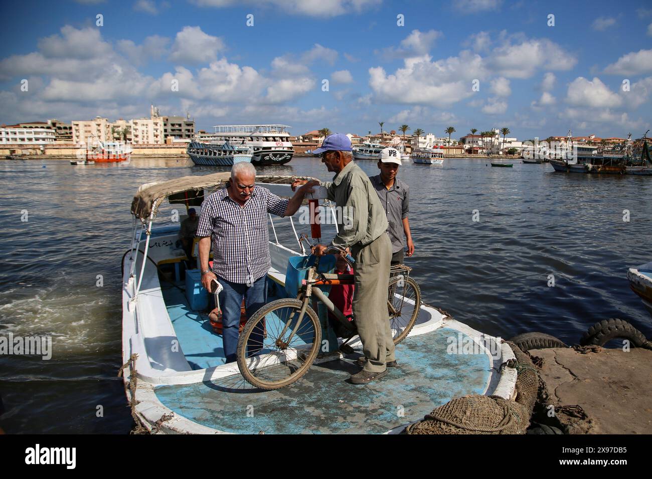 Famous types of fish hi-res stock photography and images - Alamy