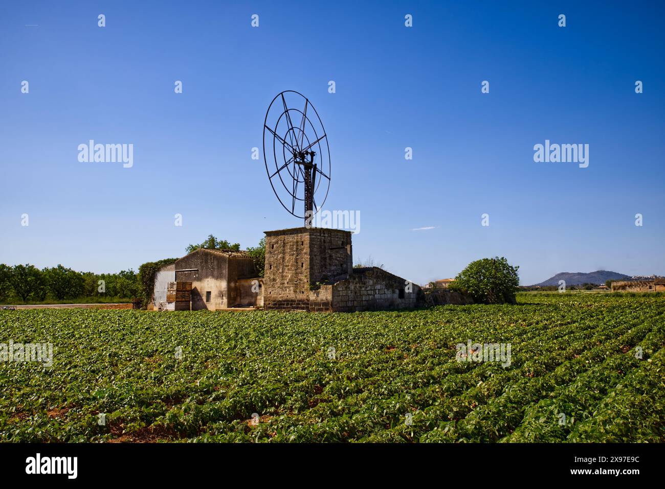 Ancient windmill on green meadow with blue sky and hill at background ...