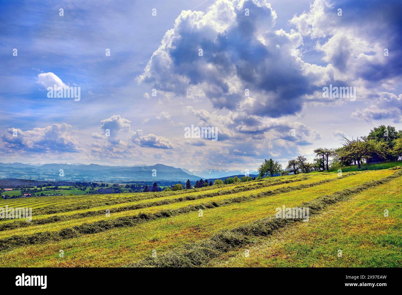 Spring, meadow with the first mowing and dramatic cloud formation over ...