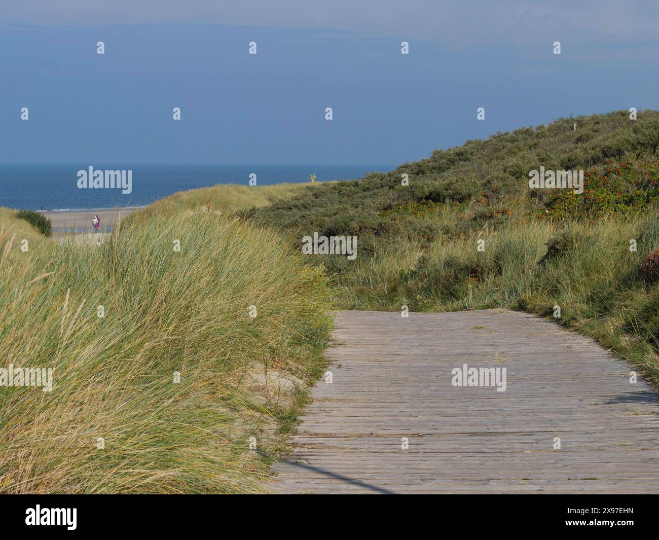 Path through grassy dunes down to the sea on a clear day, sand dunes ...