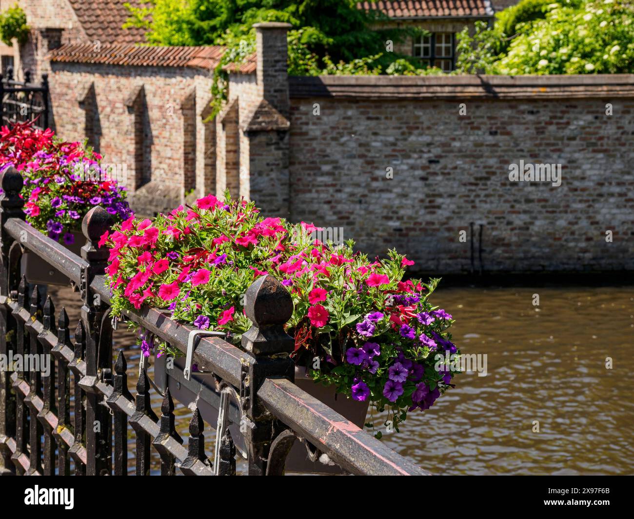 Colourful flower box on the railing of a canal with historic buildings ...