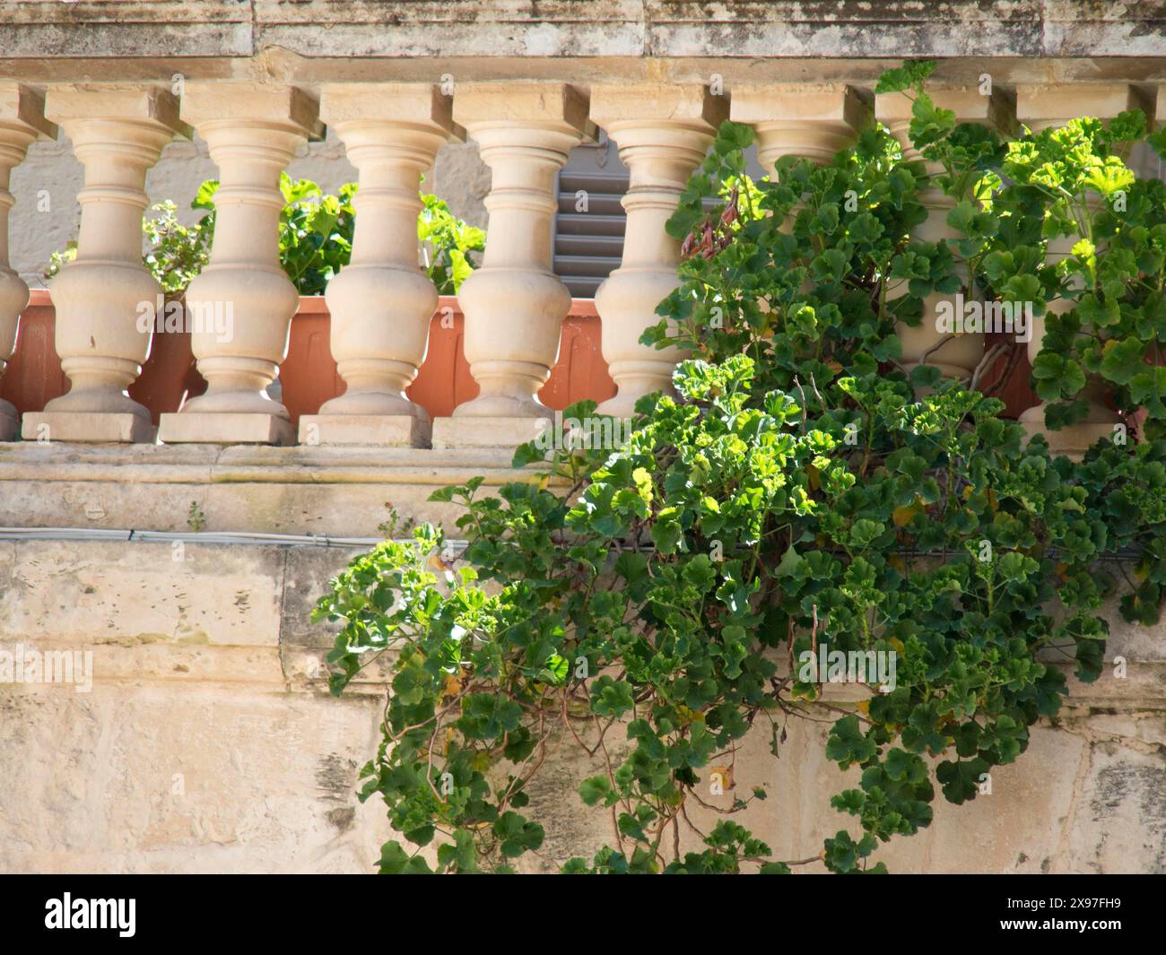A traditional stone balcony, surrounded by green plants, bathes in ...