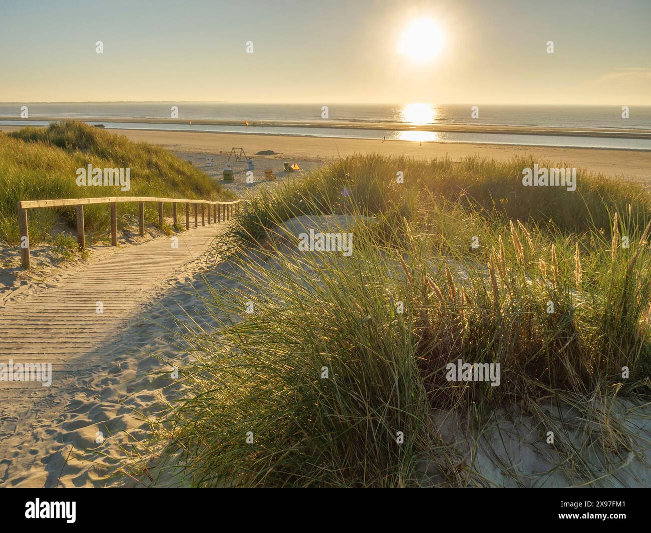 A wooden walkway leads through grassy dunes to the beach at sunset ...