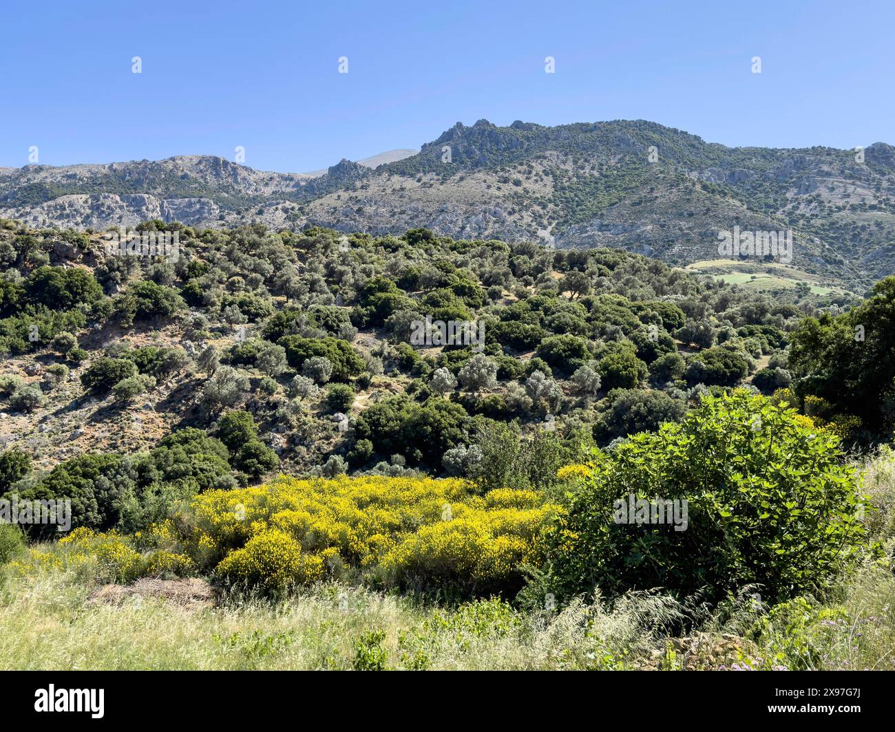 Landscape in mountains in the centre of Crete island with typical ...