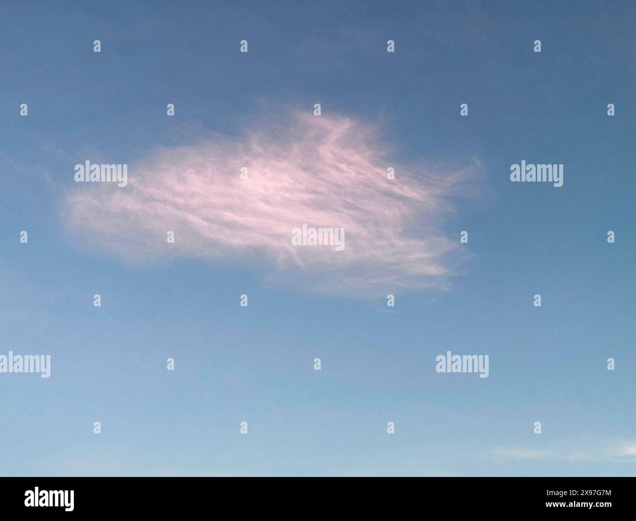 Pink cloud illuminated by the sun in the late afternoon in front of ...