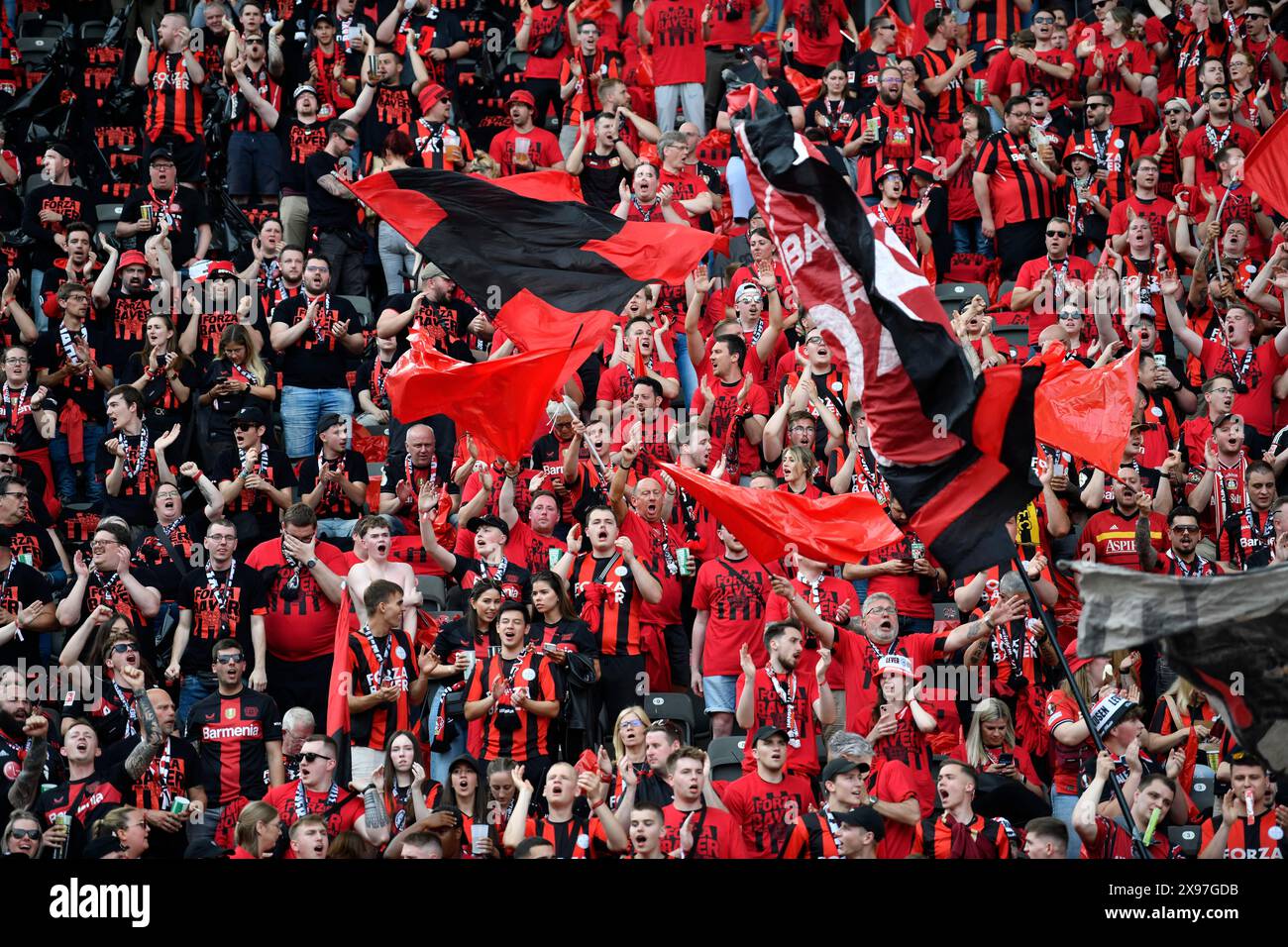 Fan curve, fan block, many fans in red, atmospheric, Bayer 04 ...