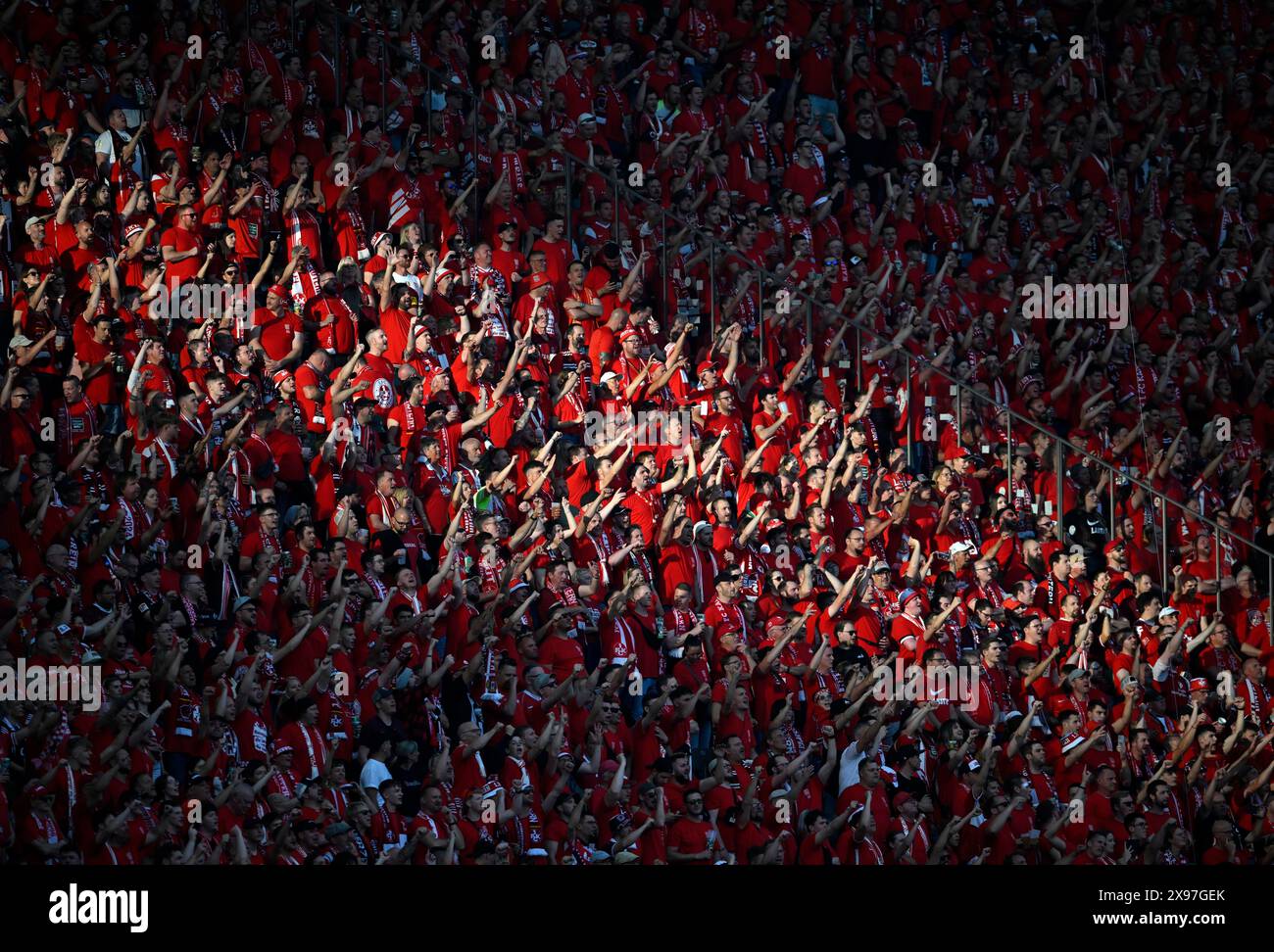 Fan curve, fan block, many fans in red, atmospheric, light and shadow ...
