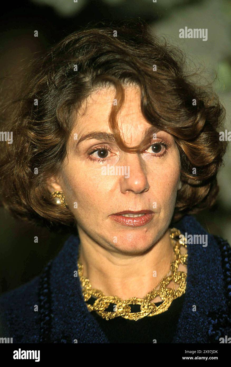 K3293KEL.PRESSER FOR ANNUAL HEINZ AWARDS 11/30/1995.TERESA HEINZ. JAMES ...