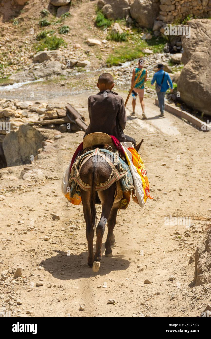 Haft Kul, Tajikistan, 21 August 2023:Little kid riding a donkey in the ...