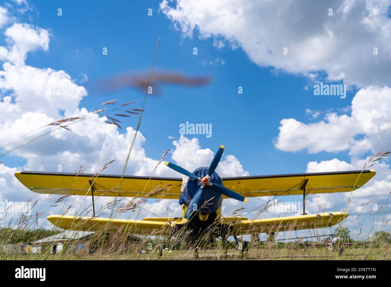 Yellow Antonov An-2 biplane old transport plane photographed from below ...