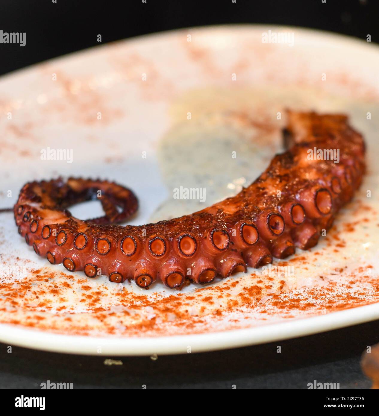 Gourmet dish of grilled octopus tentacle in a fancy restaurant Stock ...