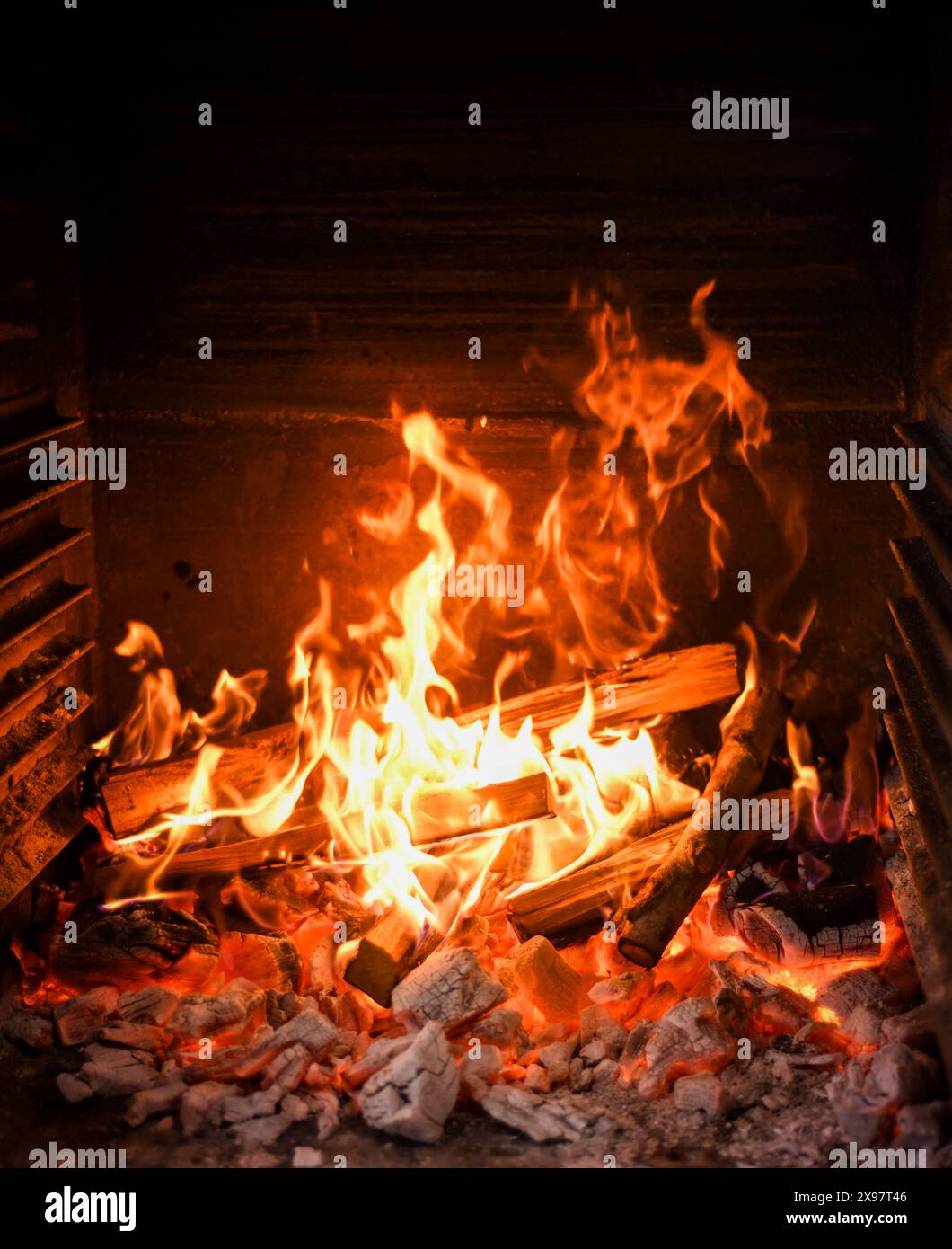 Eucalyptus trunk burning on the grill Stock Photo - Alamy