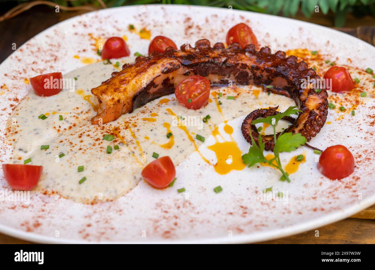 Gourmet dish of grilled octopus tentacle in a fancy restaurant Stock ...