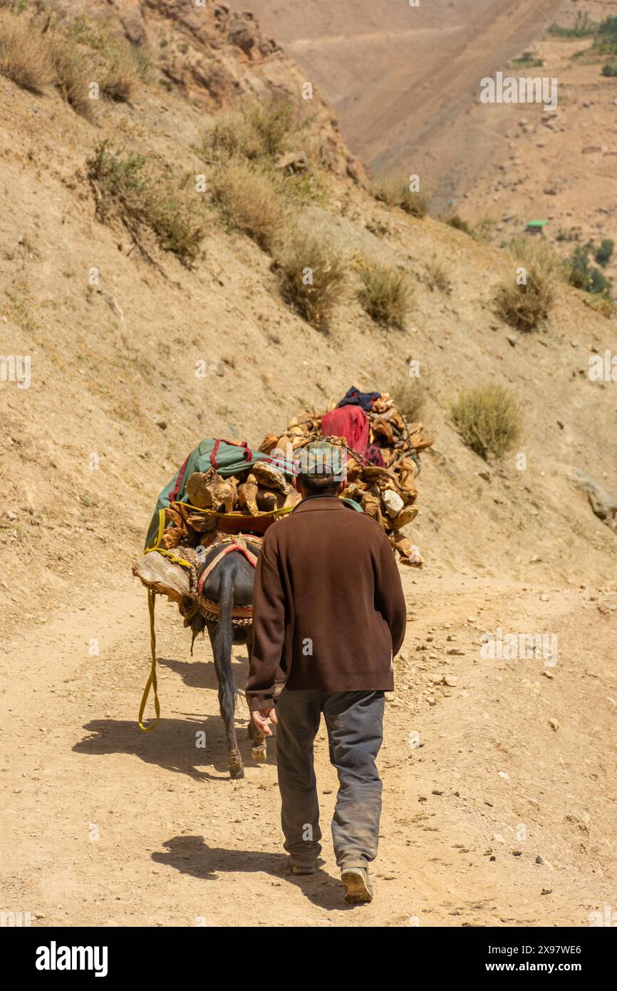 Haft Kul, Tajikistan, 21 August 2023:Family with donkeys in the Fann ...