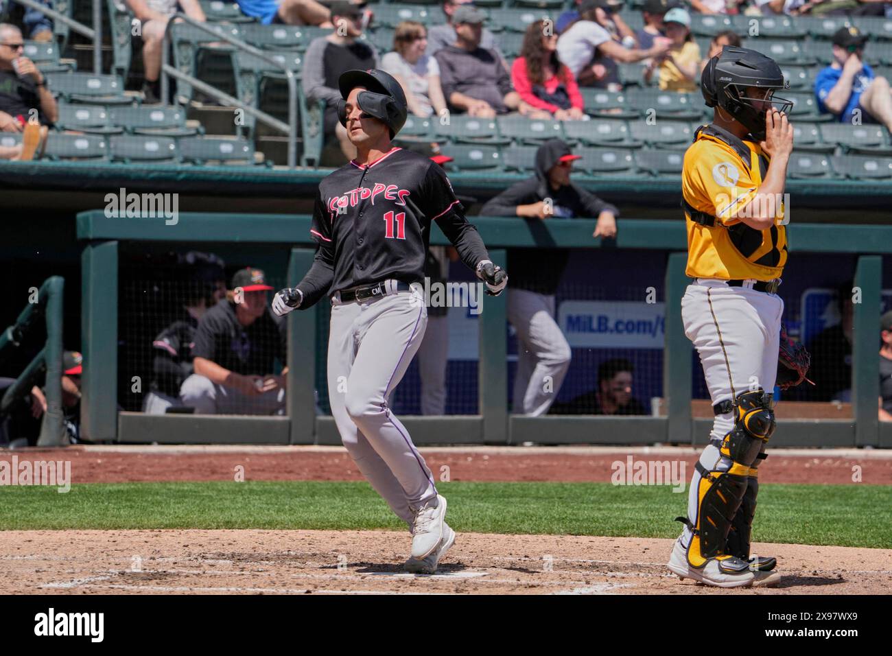 Coco montes hi-res stock photography and images - Alamy