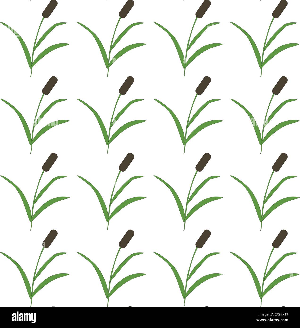 Swamp reeds, simple grass. Seamless pattern. Vector illustration Stock ...