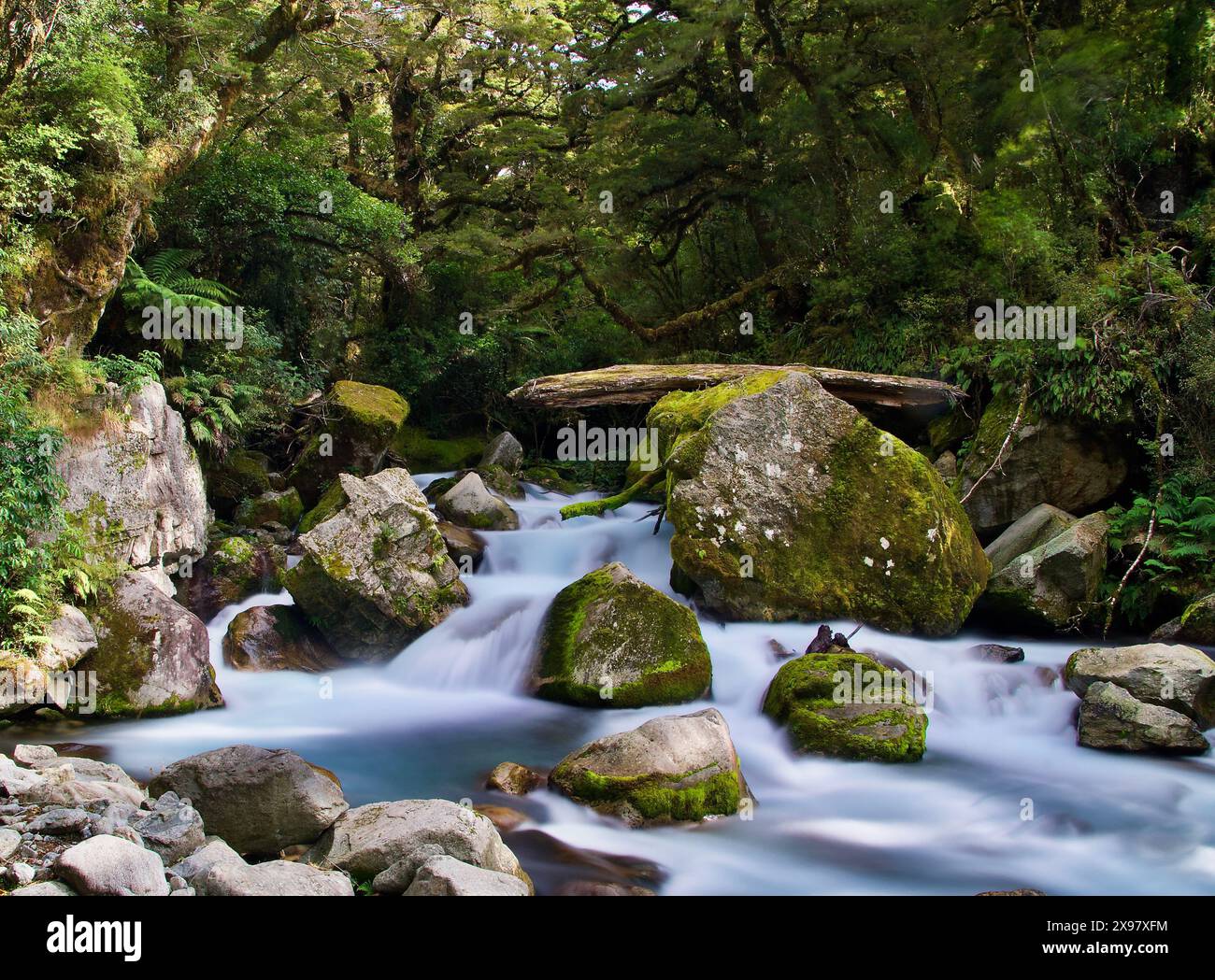 slow motion of a river in milford sounds Stock Photo - Alamy