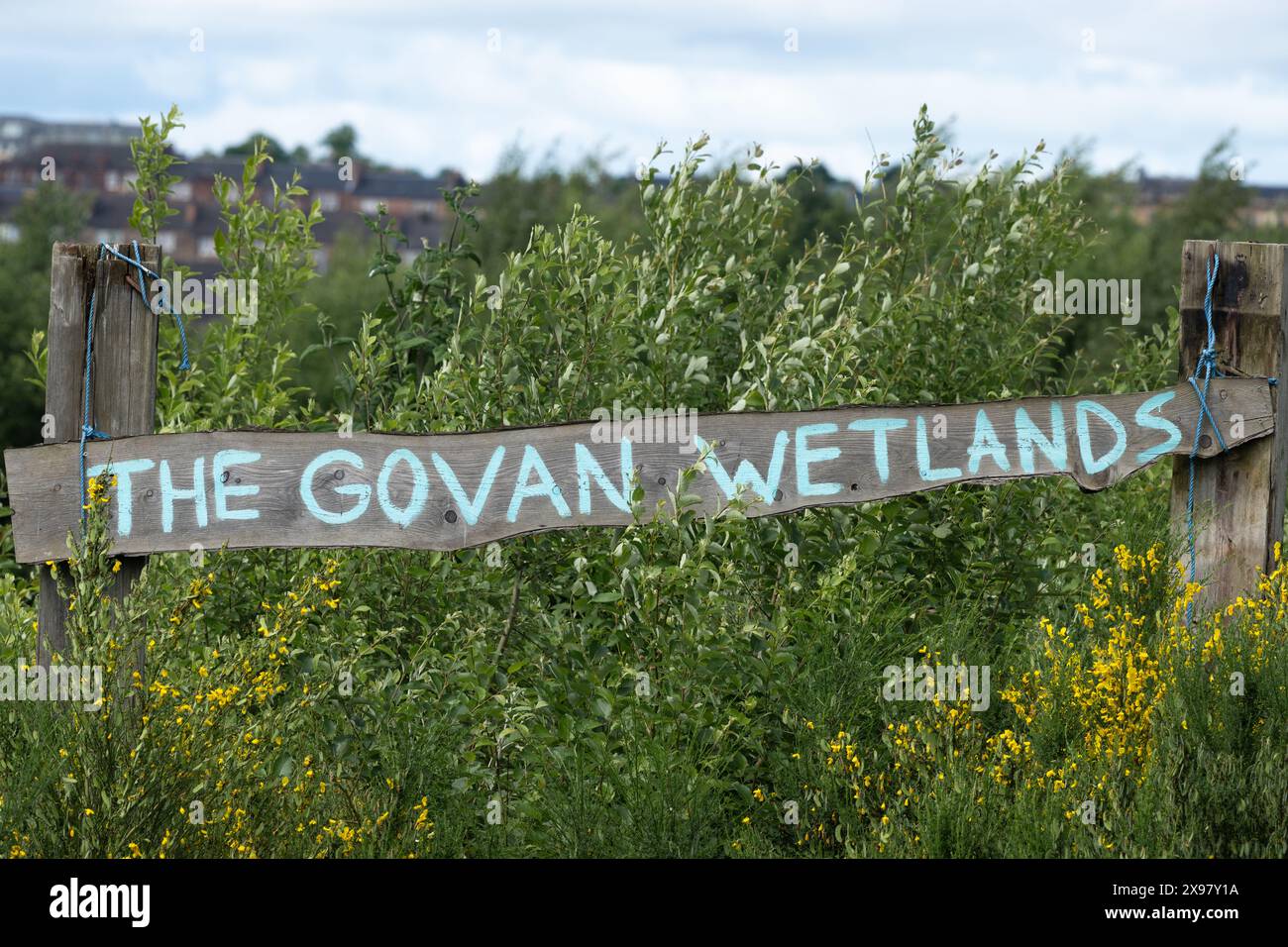 Wetland resoration hi-res stock photography and images - Alamy