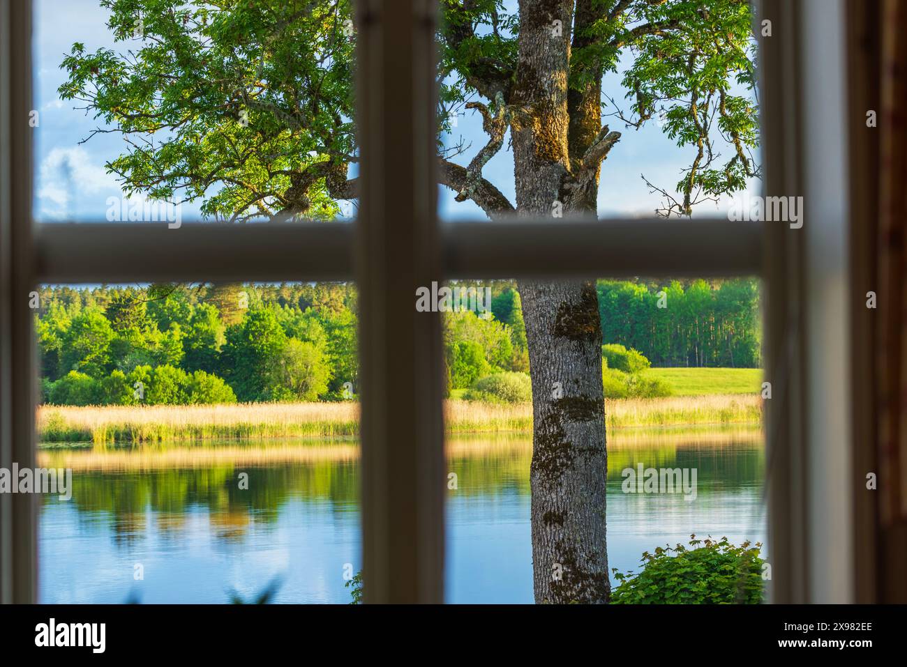 Overlooking a forest from a window hi-res stock photography and images ...
